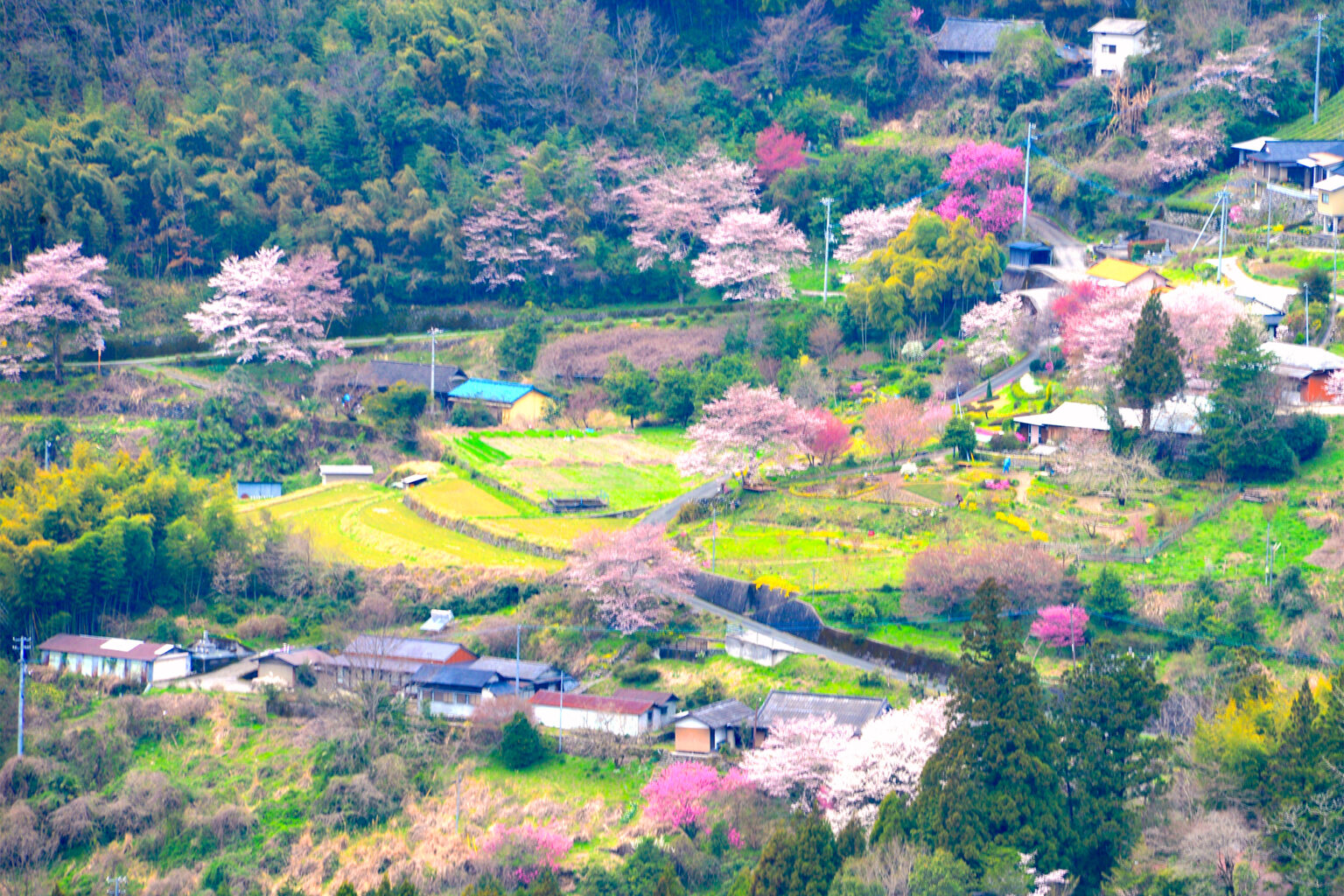 夢来里 - WOW!OTOYO｜大豊町観光ガイド